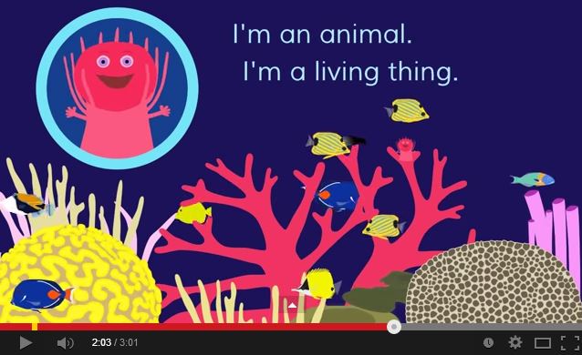 Coral Song - Division of Coastal Resources Management